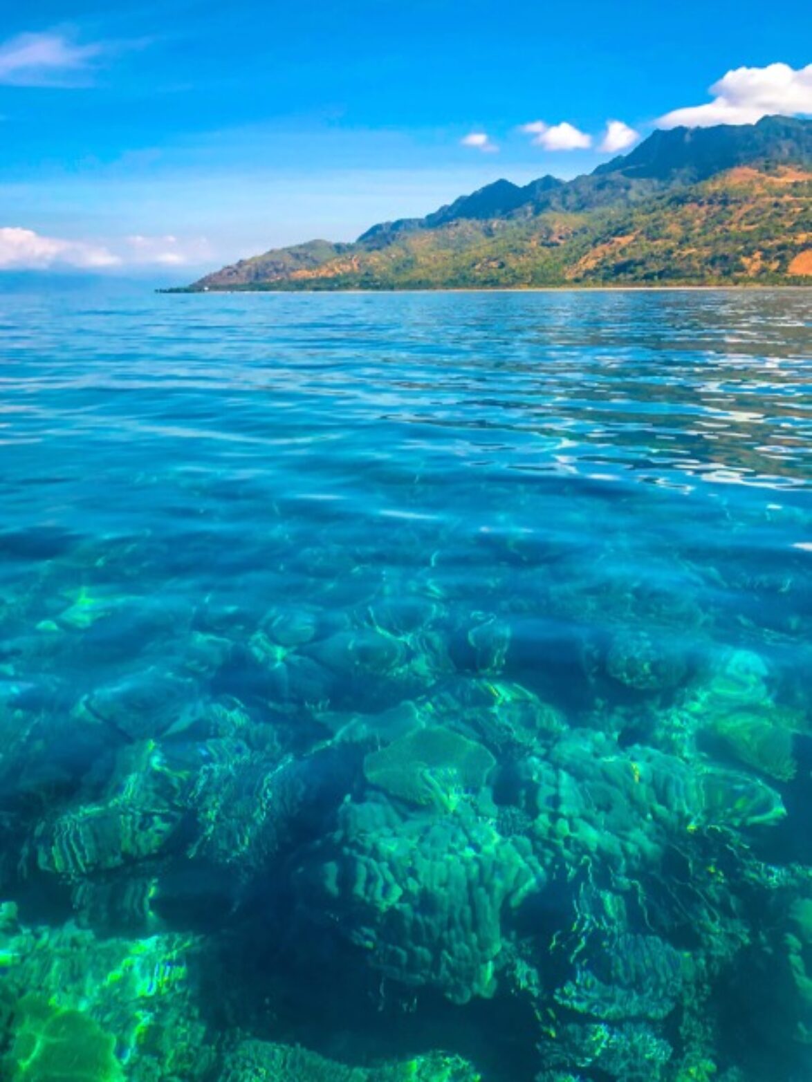 Imagining a new model of tourism for Galapagos - Galapagos Conservation ...